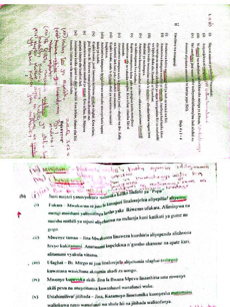 KISWAHILI PP3 and 2 KCSE 2024 MS | PDF