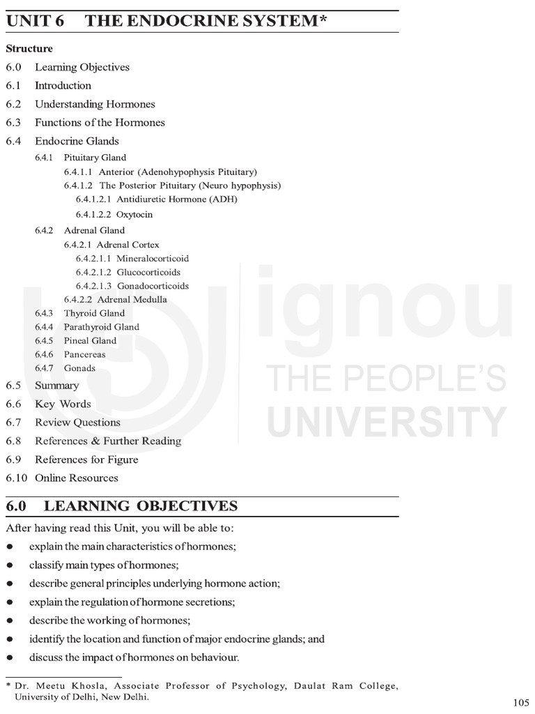 The Endocrine System | PDF