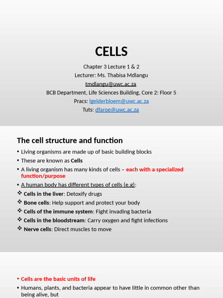 Chapter 3 Lecture 1 and 2 2025 | PDF | Cell Membrane | Cell (Biology)