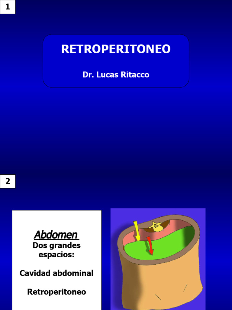 Espacios y órganos del retroperitoneo | PDF | Abdomen | Riñón