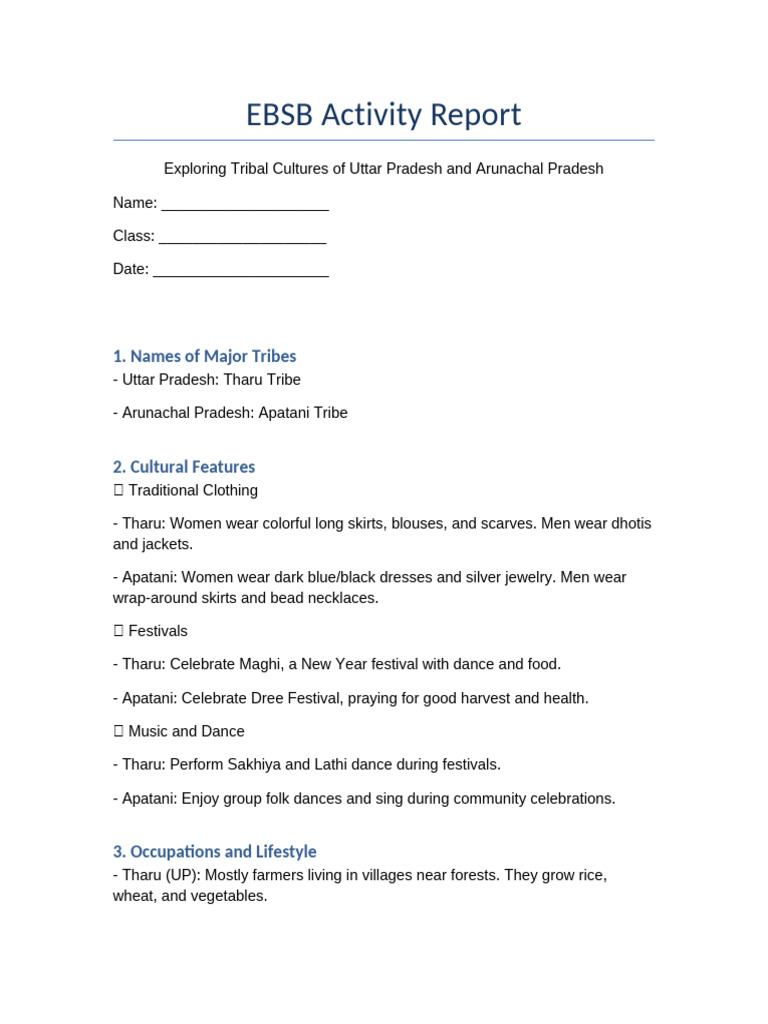 EBSB Activity Tribal Cultures Report | PDF