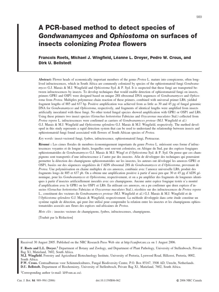 A PCR-based method to detect species of Gondwanamyces and Ophiostoma on surfaces of insects ...