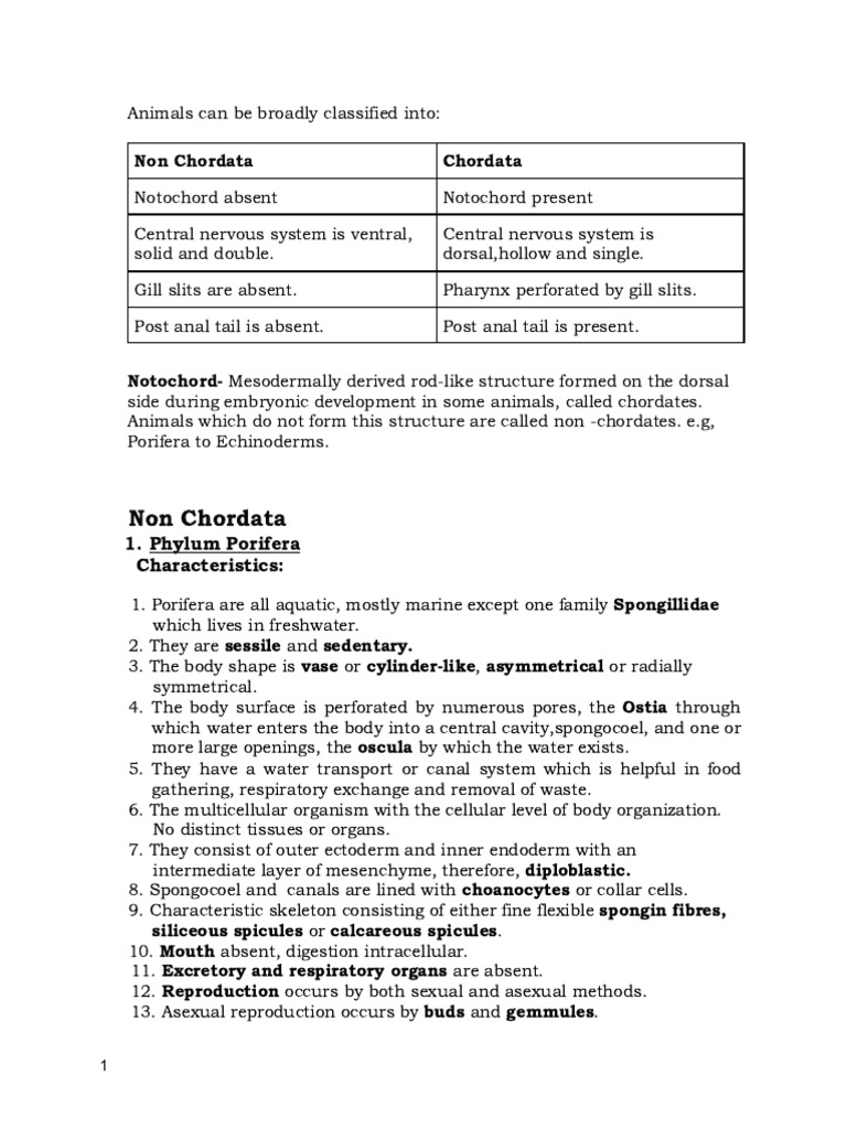 Lesson 2 Animal Kingdom | PDF | Sponge | Zoology
