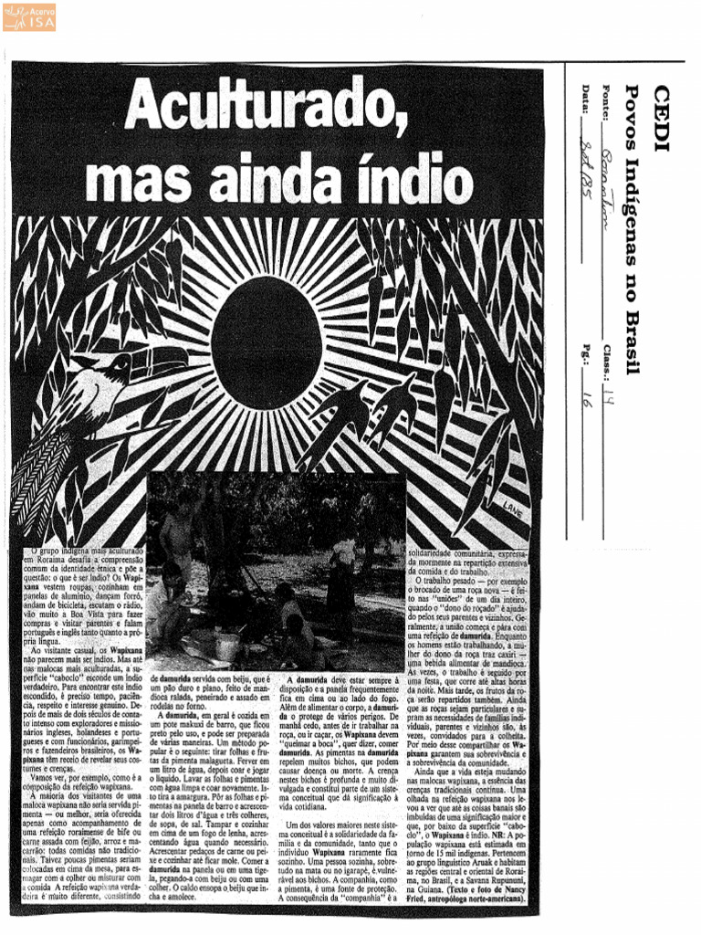 Aculturado, Mas Ainda Índio, Nancy Fried. | PDF