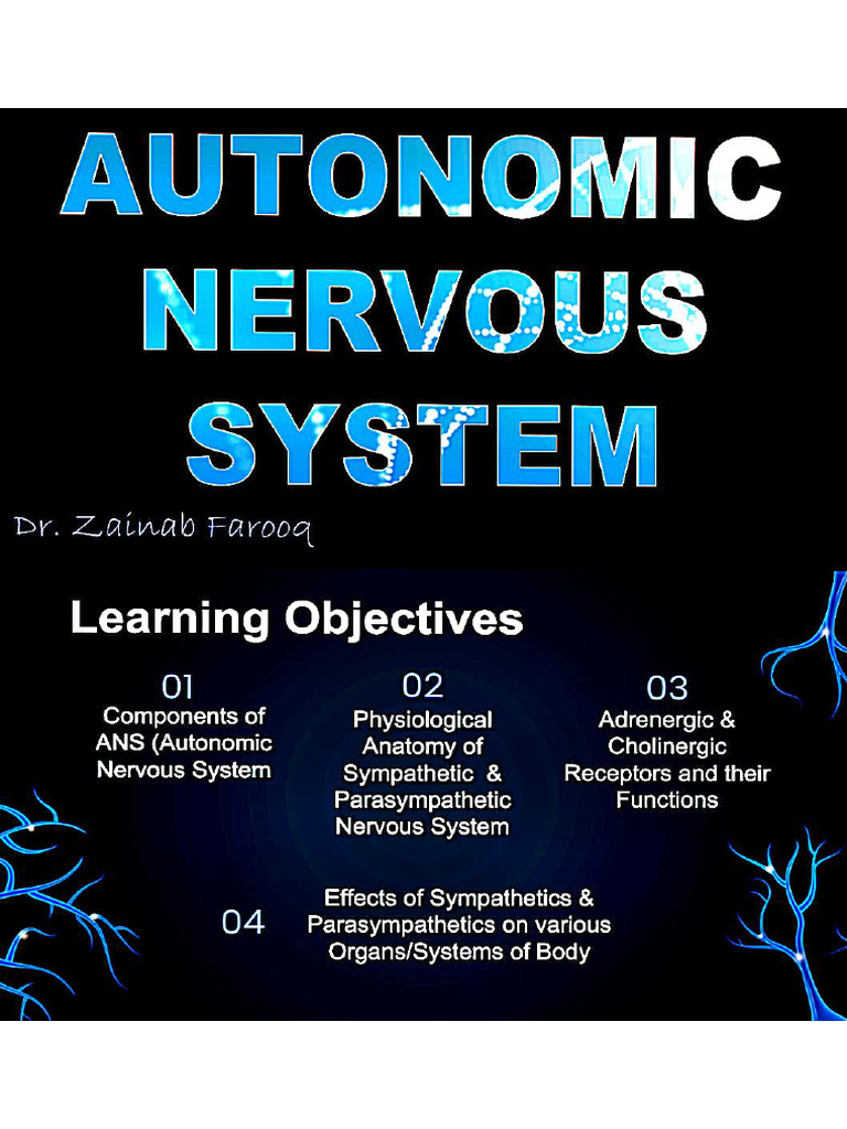 Autonomic Nervous System (MBBS) | PDF