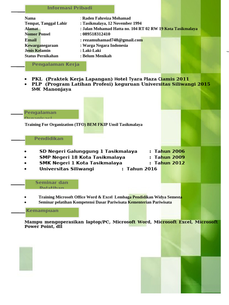 CV Ninja Express | PDF