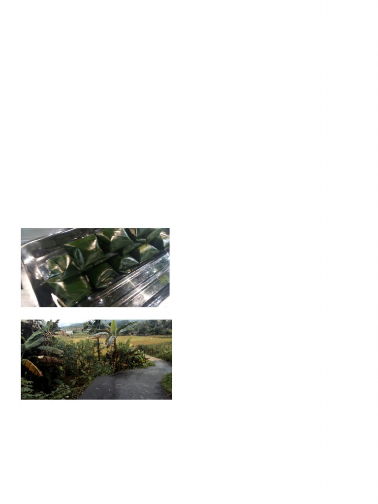 Kunbel Mandiri. | PDF