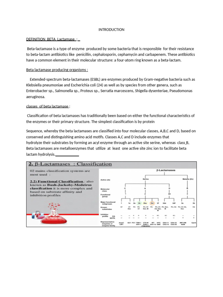 Understanding Beta-Lactamase Resistance | PDF | Beta Lactamase ...