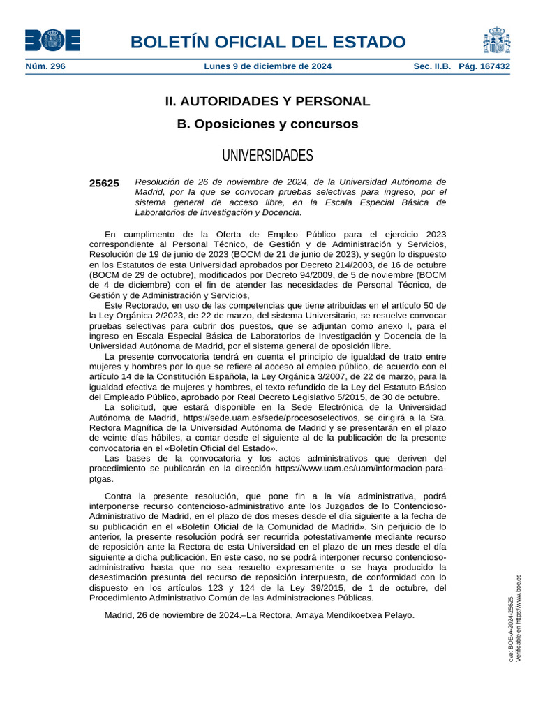 Boe A 2024 25625 | PDF | Gobierno | Justicia