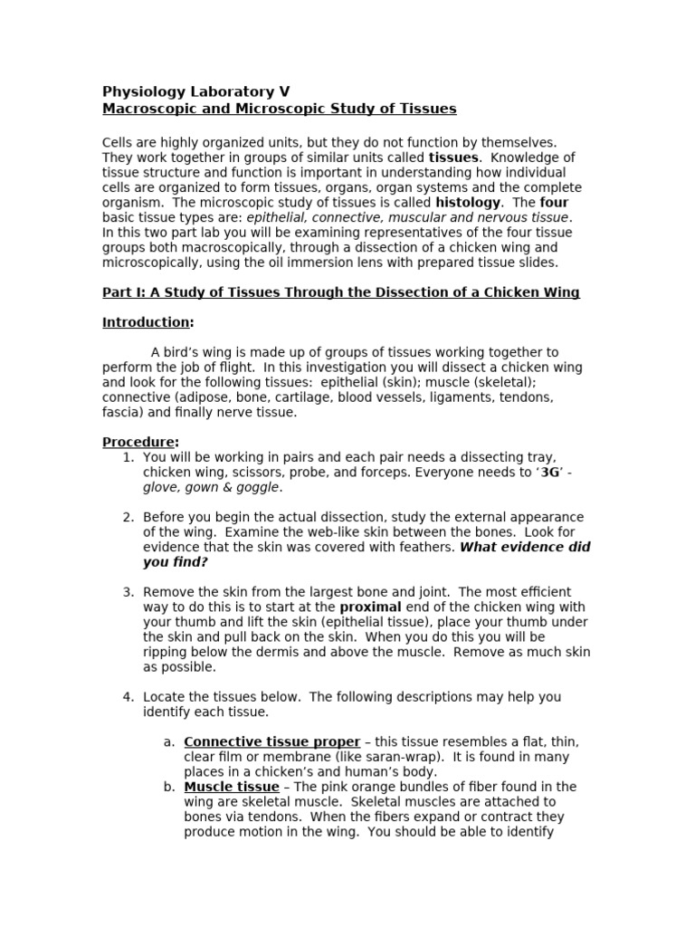 Lab V Chicken Wing Dissection and Microscopic View of Tissues | PDF ...