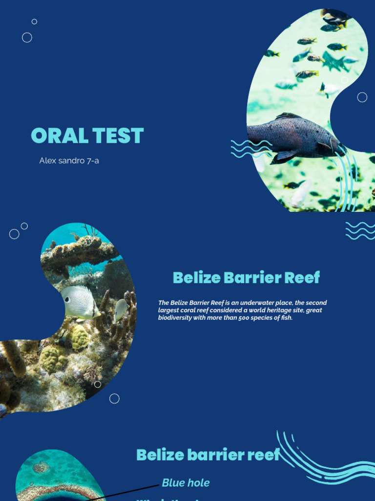 Oral Test.3 | PDF