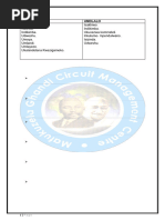 Isakhiwo Sendaba Emfushane: Ukuhlaziywa | PDF