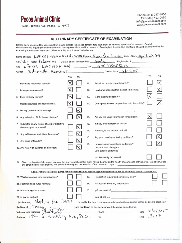 Vet Exams | PDF