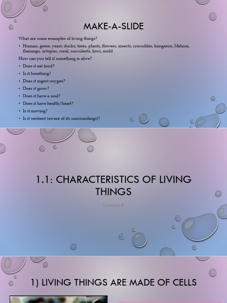 1.1 Characteristics of Living Things PPT AU | PDF | Stimulus ...