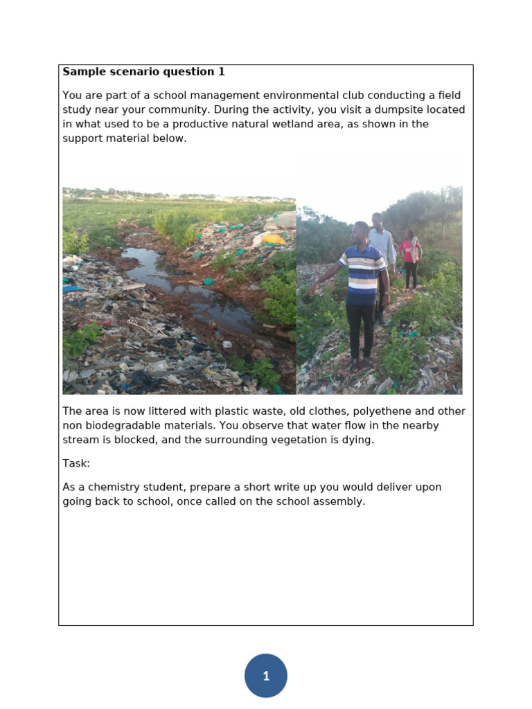 Sample Scenario | PDF