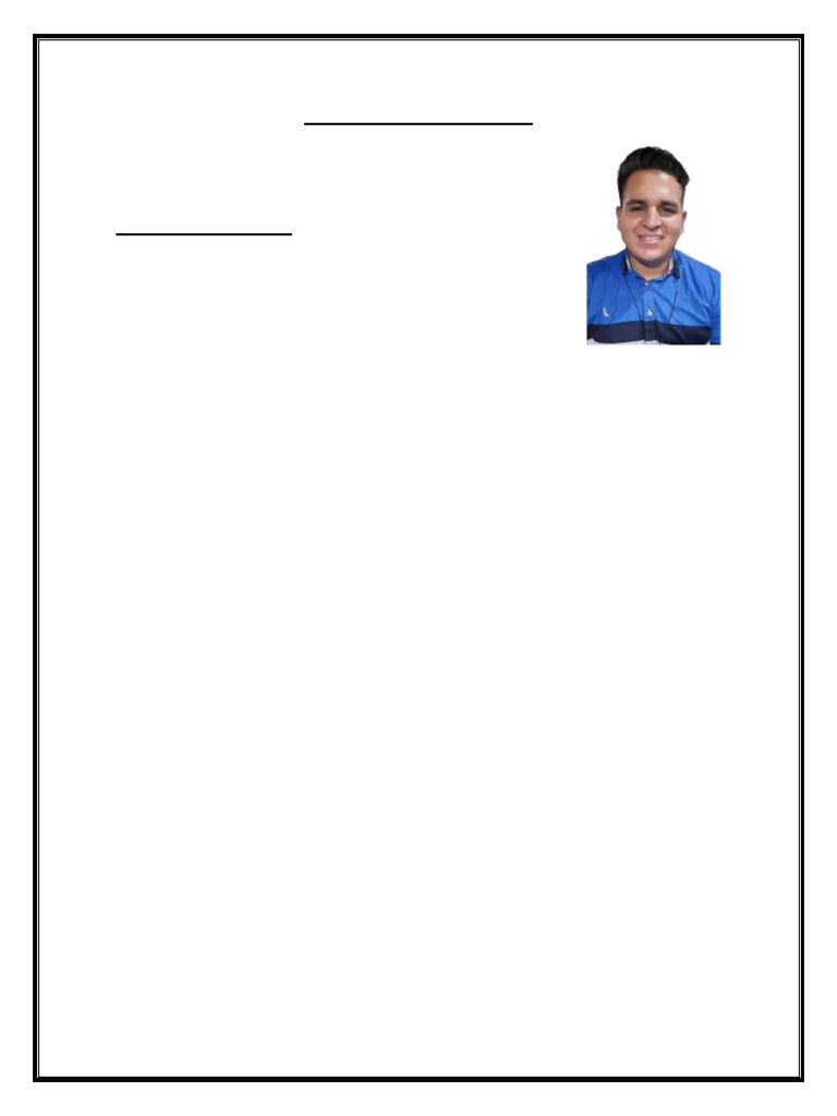 Max Alejandro Pinto Barrera Curriculum | PDF