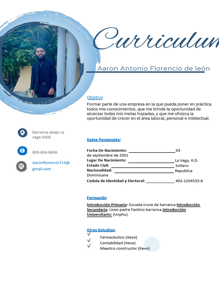 Curriculum Vitae Aaron 3 PDF | PDF