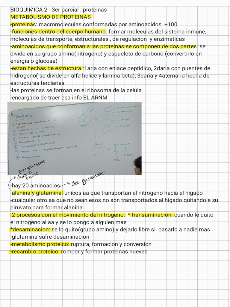 Bioquímica II | PDF