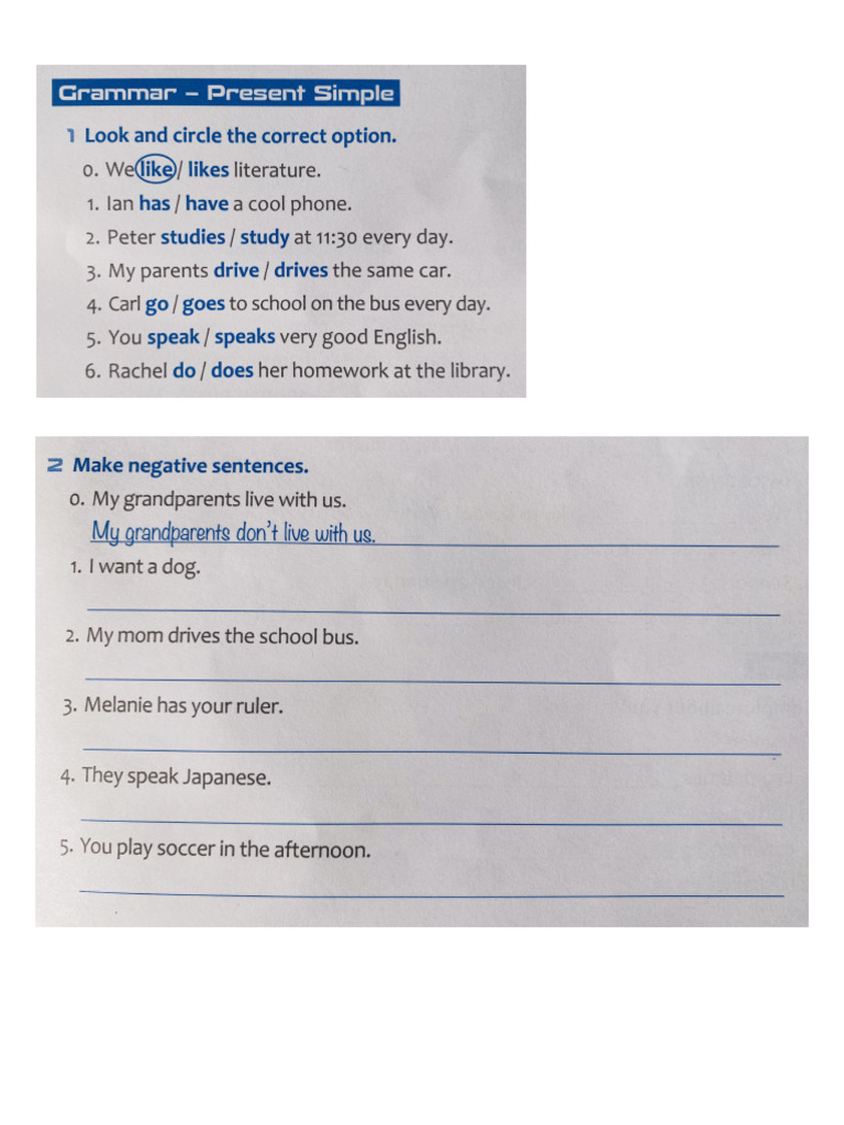 Present Simple activities (affirmative and negative form, from ...