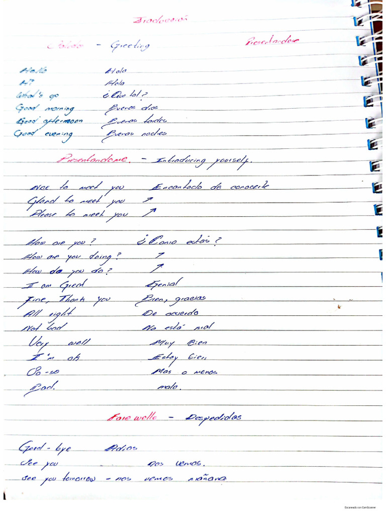 Traduci On | PDF