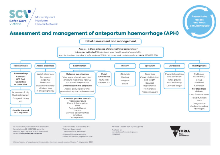 Assessment and Management of APH - Flowchart | PDF | Mammalian ...