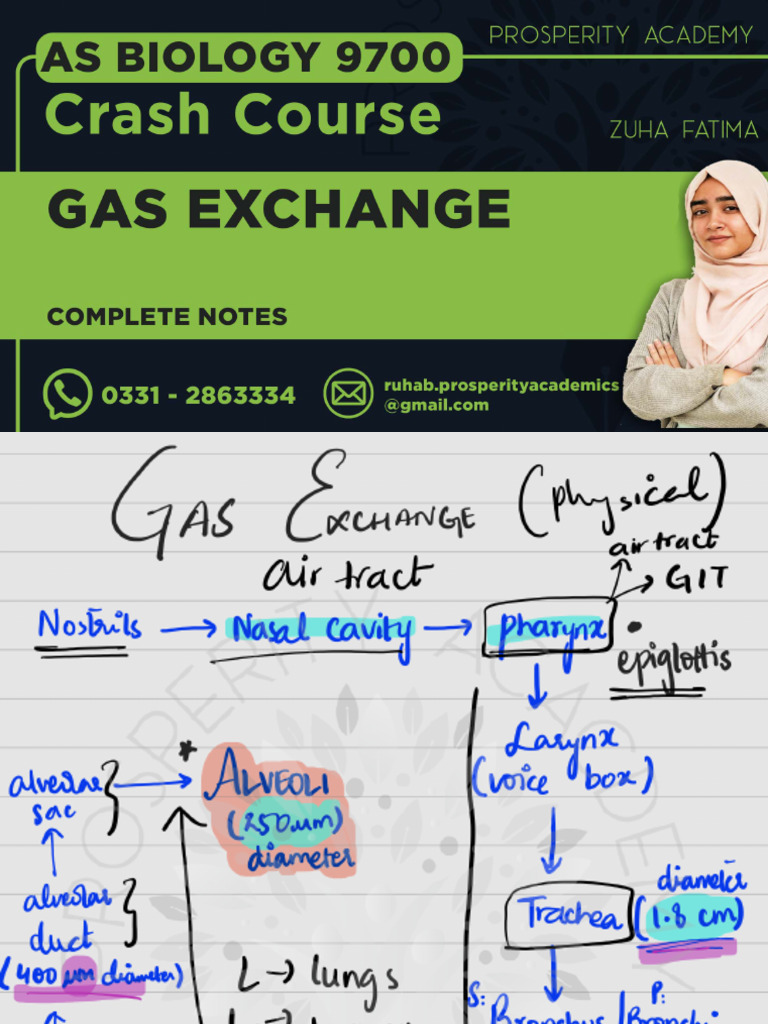 Gas Exchange | PDF