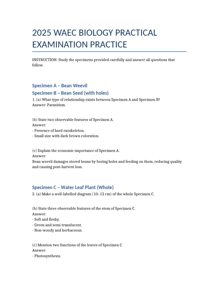 WAEC Biology Practical 2025 | PDF | Fruit | Egg White