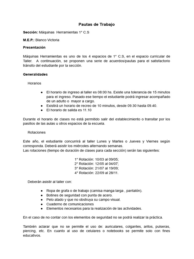 Pautas de Trabajo 2025 | PDF