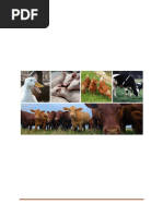 Predator Types | PDF