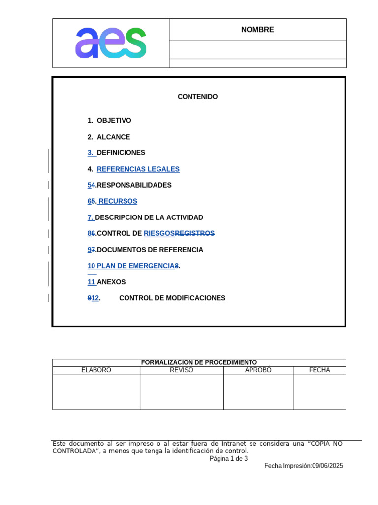 Formato Procedimiento Aes | PDF