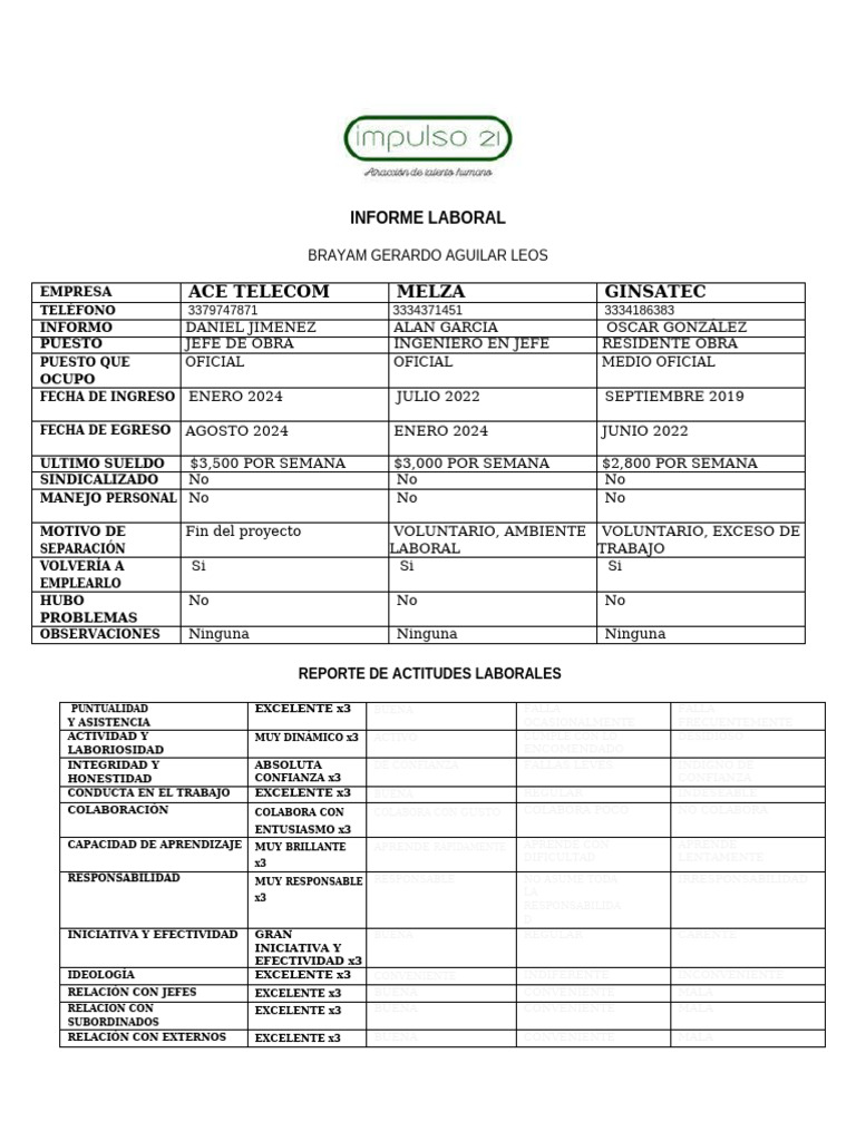 Formato Informe Laboral | PDF