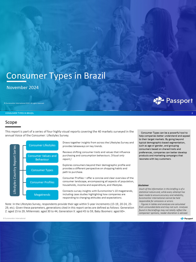 Consumer Types in Brazil: Insights 2024 | PDF | Online Shopping | Brand