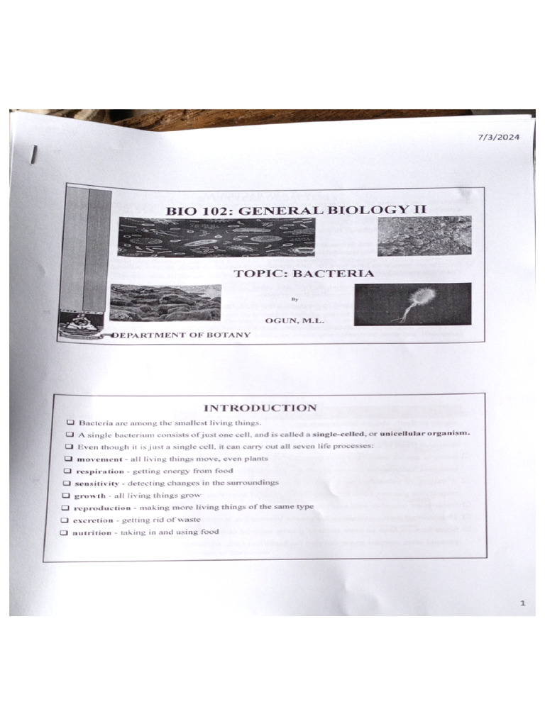 Bacteria | PDF
