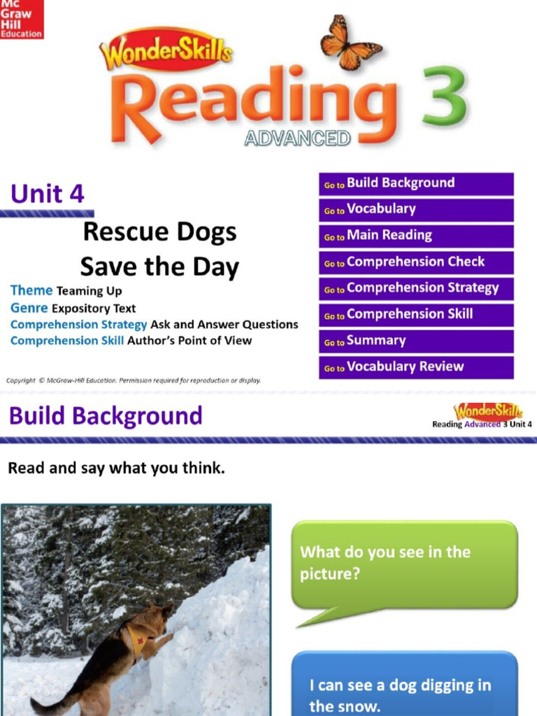 Advanced 3 Unit 4 Rescue Dogs Save The Day | PDF