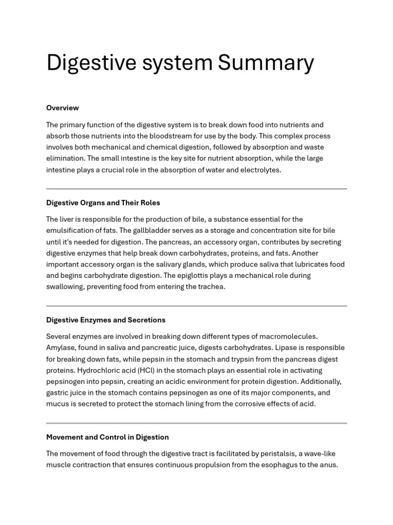 Digestive System Overview and Functions | PDF | Human Digestive System ...