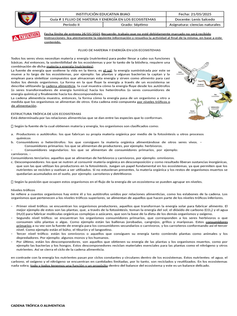 Flujo de Energía en Ecosistemas | PDF | Red alimentaria | Biología