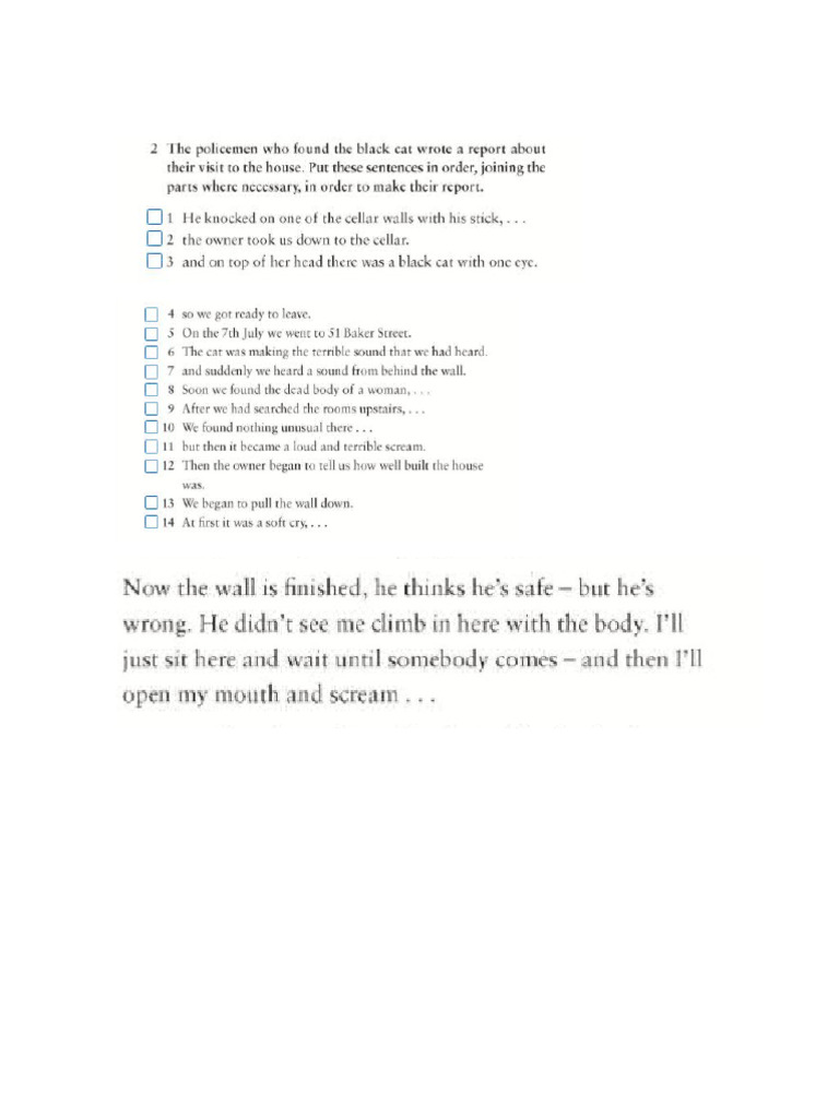 Activities The Black Cat | PDF