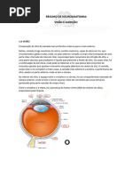 Aula 11 - Fisiologia Da Visão | PDF | Sistema visual | Olho
