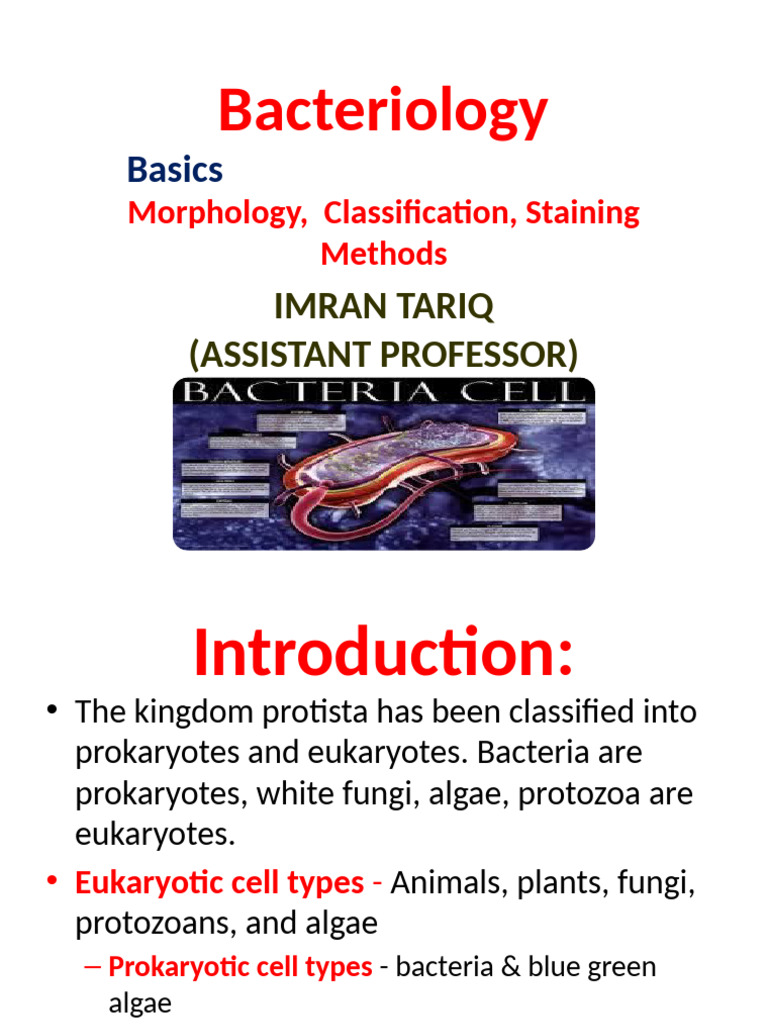 Bacteriology | PDF | Staining | Eukaryotes