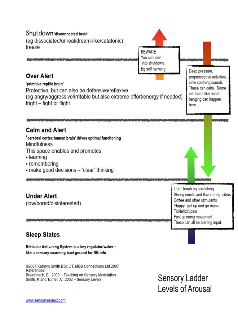 Sensory Ladder Explaned | PDF