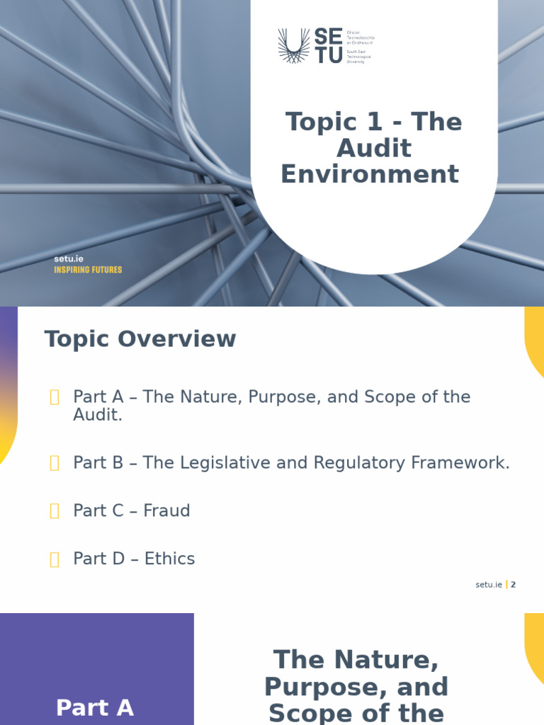 The Audit Environment - S1 - 2023 | PDF | Audit | Internal Audit