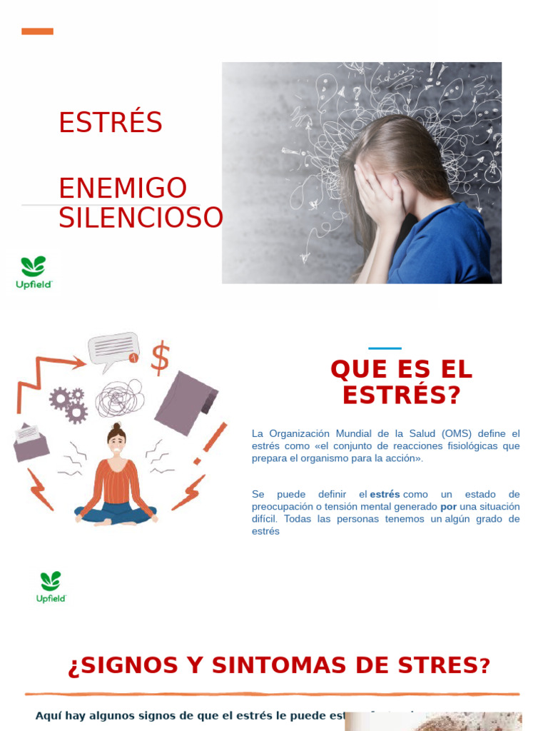 Estrés: Causas, Síntomas y Manejo | PDF | Estrés (biología) | Trauma ...