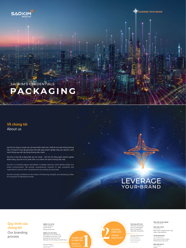 SaoKim Packaging Portfolio | PDF