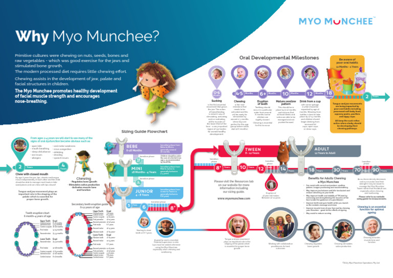 Why Myo Munchee A3 Poster | PDF | Tooth | Primate Anatomy