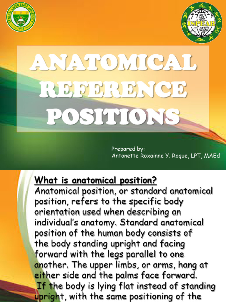 L2 - Anatomical Reference Position | PDF | Anatomical Terms Of Location ...