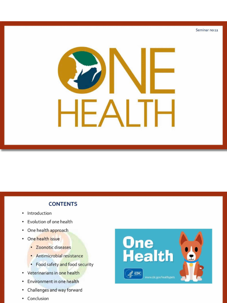 One Health Concept | PDF