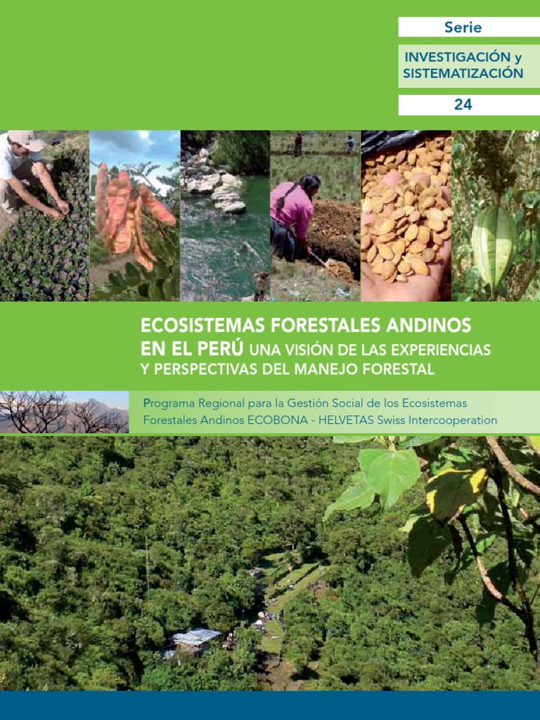 Ecosistemas Forestales | PDF | Andes | Los bosques