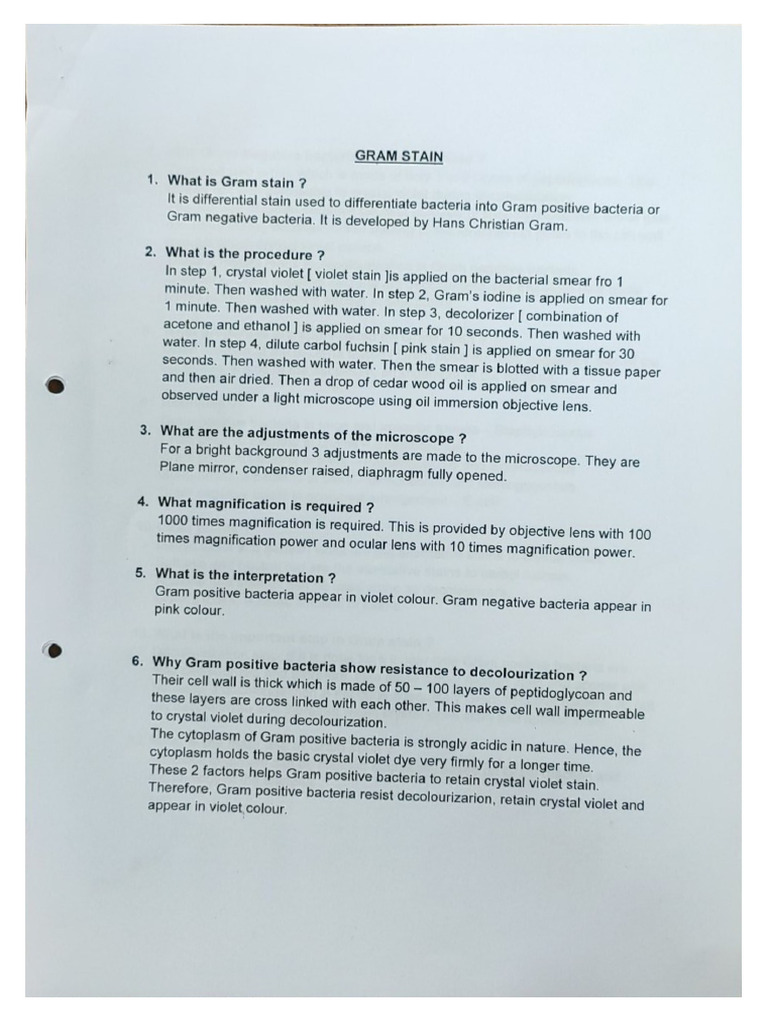 Gram Stain | PDF