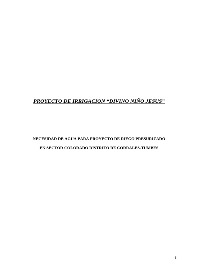 Demnda de Agua - Proyecto DNJ Finaldoc | PDF | Evapotranspiración | Riego