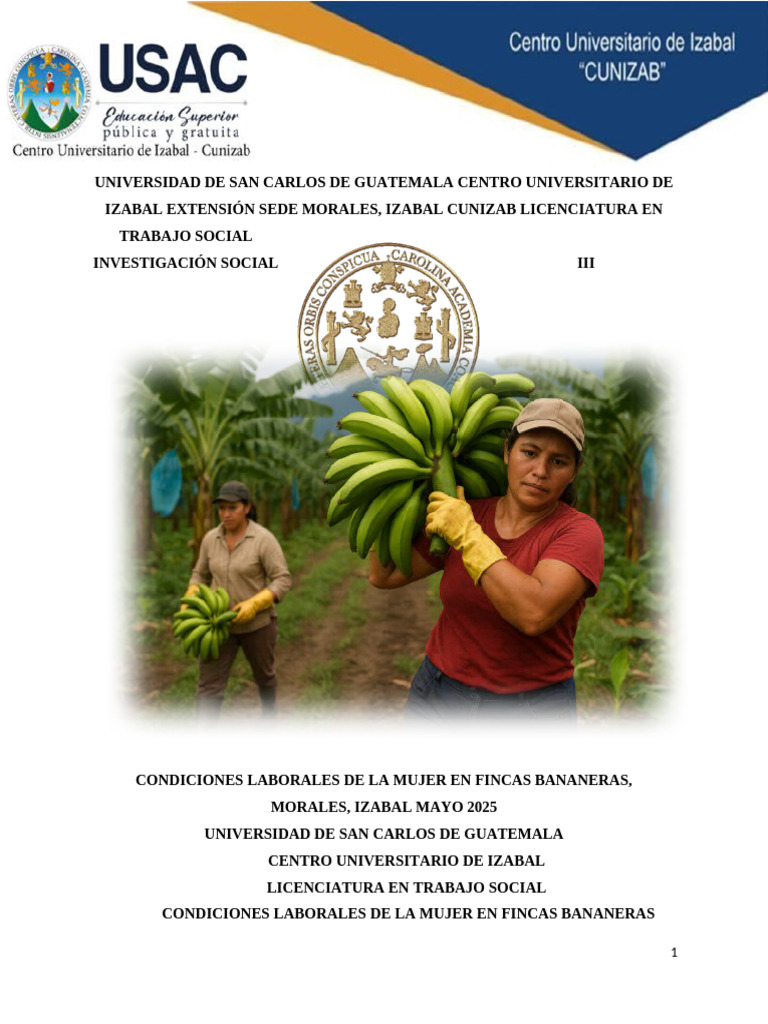 Plan de Investigación de Enma | PDF | Desigualdad social ...
